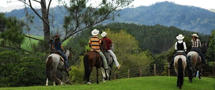 Constanza | DR Local Wiki | Fandom