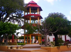 Moca | DR Local Wiki | Fandom