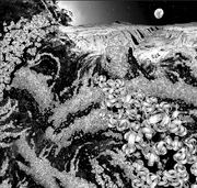 Whyman | Dr. Stone Wiki | Fandom