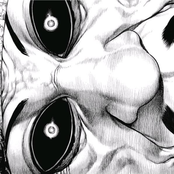 Ibara/Image Gallery | Dr. Stone Wiki | Fandom
