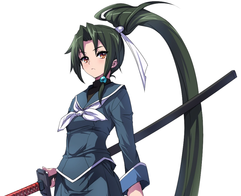 Roronoa Zoro | Dragon Ball Knowledge Base Wiki | Fandom