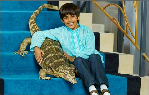 Mrs. Kipling | Drachen Wiki | Fandom