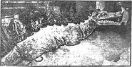 Fafnir | Drachen Wiki | Fandom