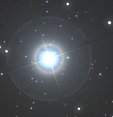 Mu Ceti | DracoConstellation Wiki | Fandom