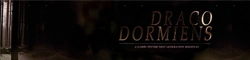 Lorcan Scamander | Draco Dormiens Wiki | Fandom