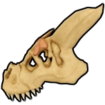 T-Rex Skull | Draco-Kingdom Wiki | Fandom