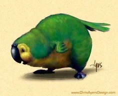 Kadodo | Artifactology Wiki | Fandom