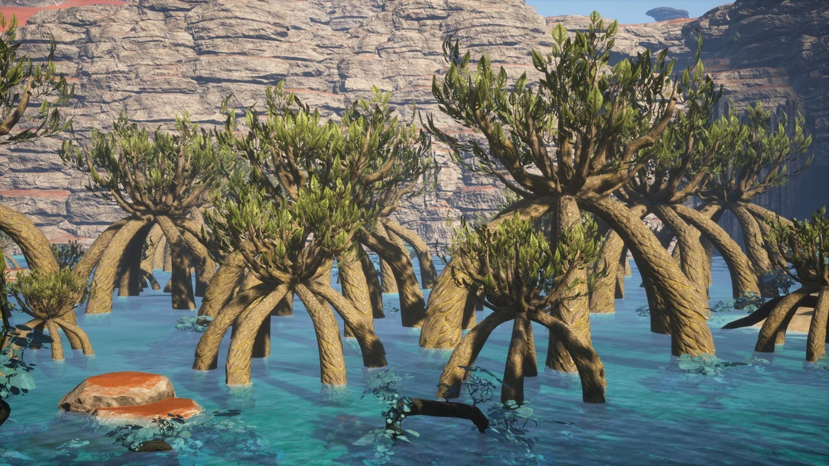 Revona | Draconia Wiki | Fandom