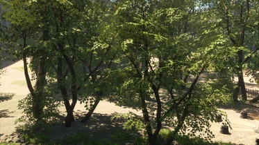 Unifara | Draconia Wiki | Fandom