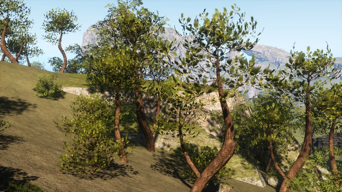 Pahri | Draconia Wiki | Fandom