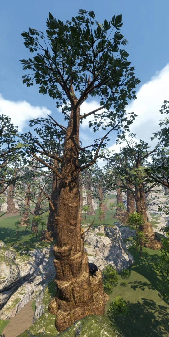 Category:Flora | Draconia Wiki | Fandom