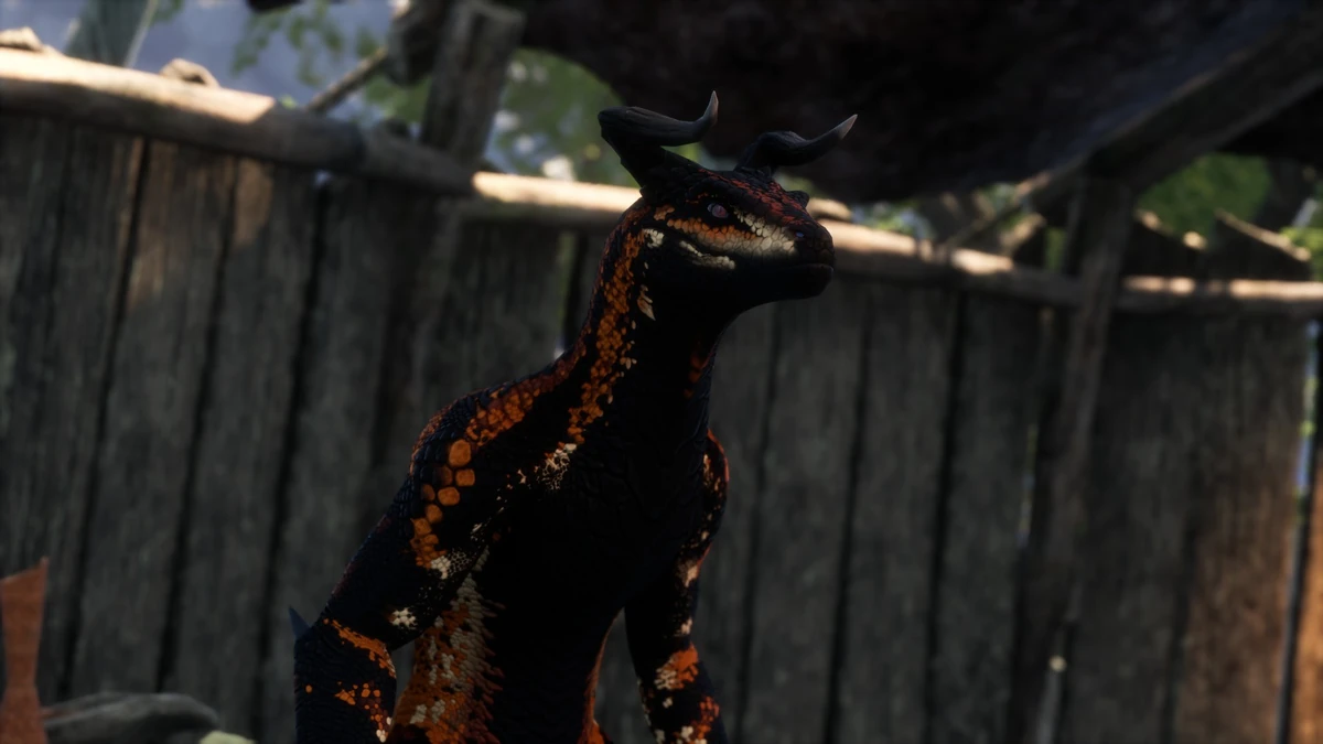 Torek | Draconia Wiki | Fandom