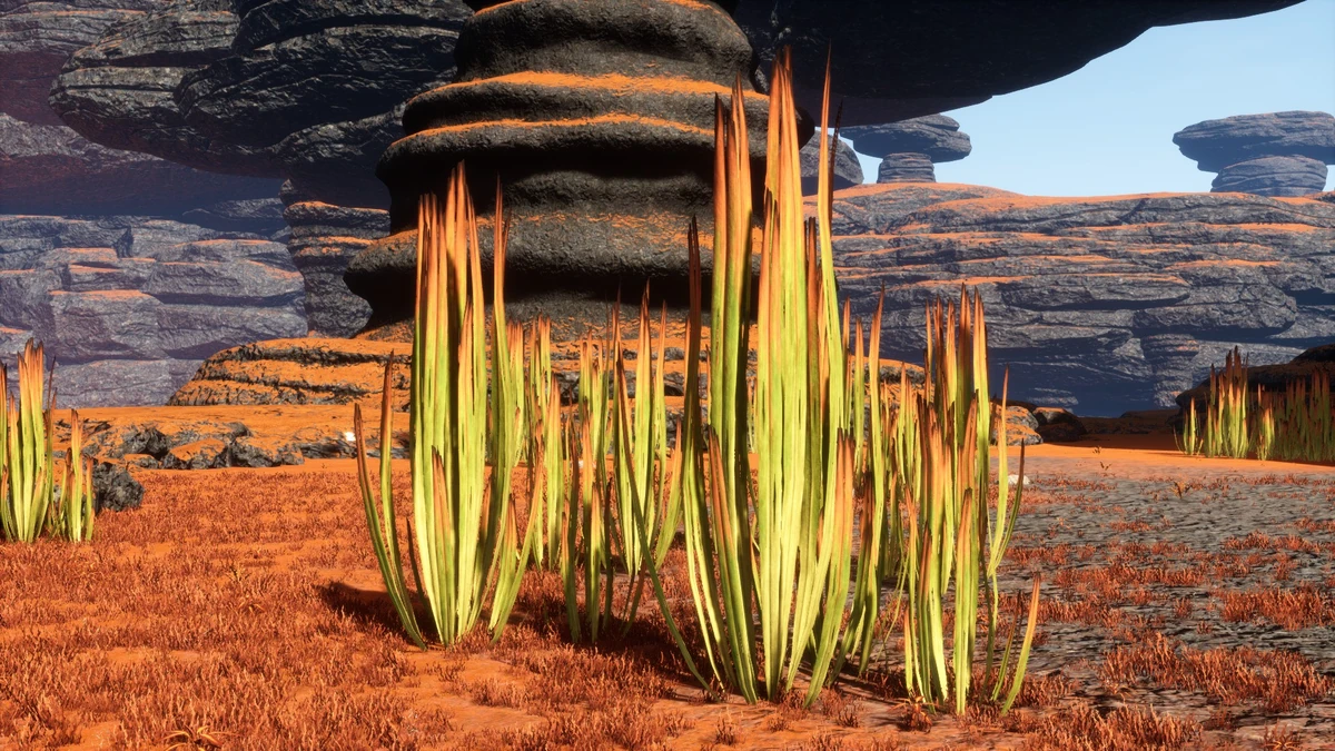 Ipomo | Draconia Wiki | Fandom