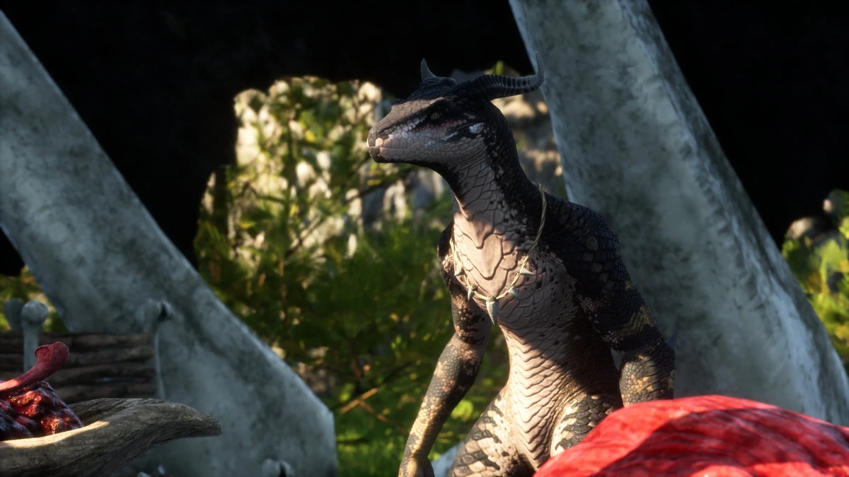 Toral | Draconia Wiki | Fandom