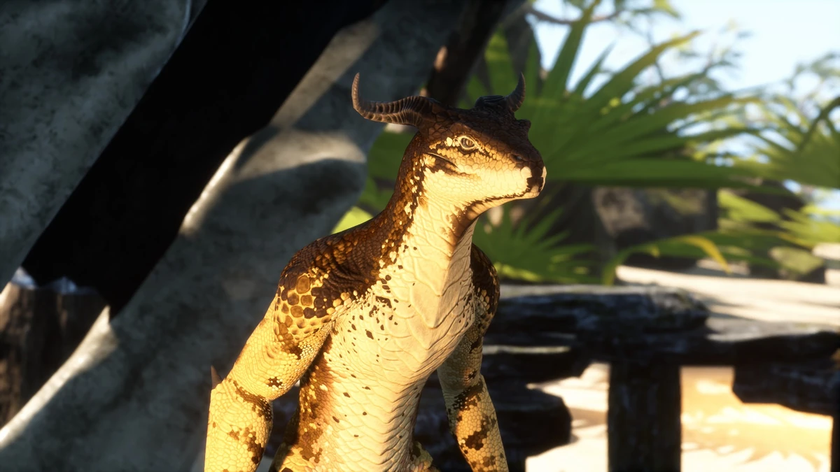 Adaya | Draconia Wiki | Fandom