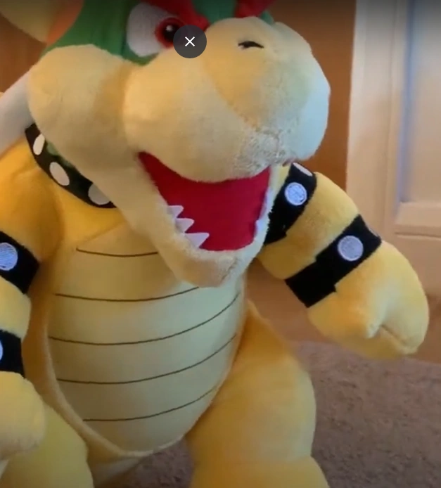 Bowser | DracovishTV Wiki | Fandom