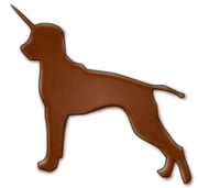 Lyorn | Lyorn Records | Fandom