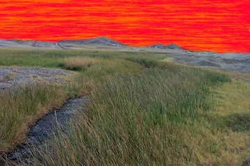 Pushta | Lyorn Records | Fandom