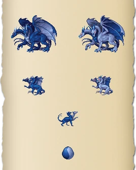 Split Dragon | Dragon Cave Wiki | Fandom