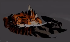 Tigrilia | Dragon Adventures Wiki | Fandom