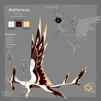 Aethereus | Dragon Adventures Wiki | Fandom