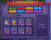 Inventory | Dragon Adventures Wiki | Fandom