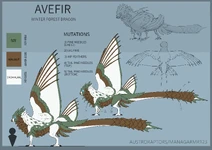 Avefir | Dragon Adventures Wiki | Fandom