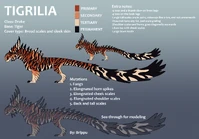 Tigrilia | Dragon Adventures Wiki | Fandom