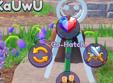 Co-Hatch | Dragon Adventures вики | Fandom