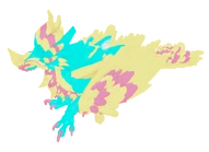 Radidon | Dragon Adventures Wiki | Fandom