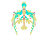 Radidon | Dragon Adventures Wiki | Fandom