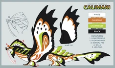 Calimaki | Dragon Adventures Wiki | Fandom