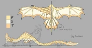 Dragon Concept Designs | Dragon Adventures Wiki | Fandom
