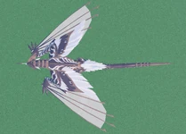 Xellatruce | Dragon Adventures Wiki | Fandom