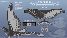 Phocaphan | Dragon Adventures Wiki | Fandom