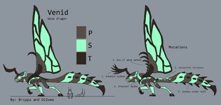 Venid | Dragon Adventures Wiki | Fandom