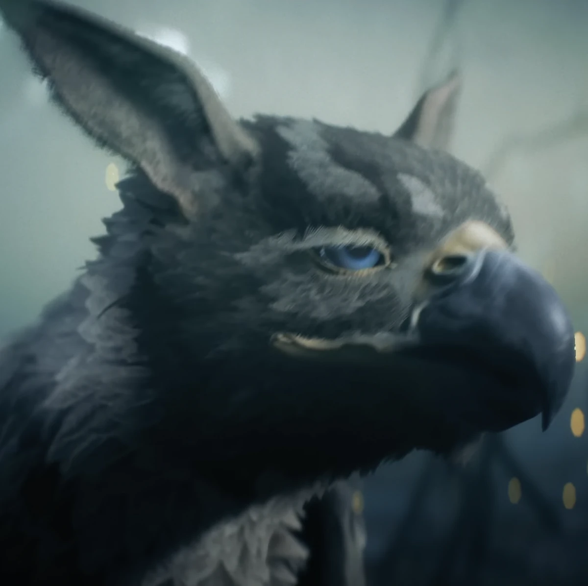 Assan | Dragon Age Wiki | Fandom