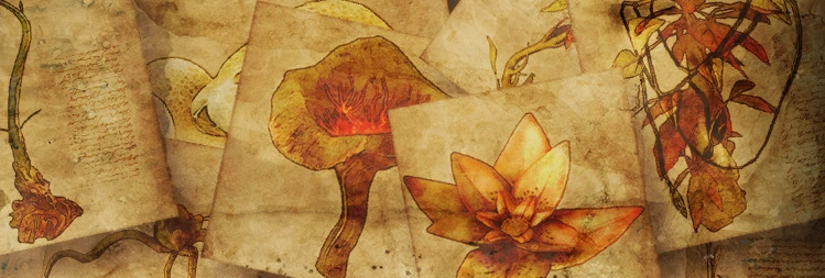Erbe (Inquisition) | Dragon Age Wiki | Fandom
