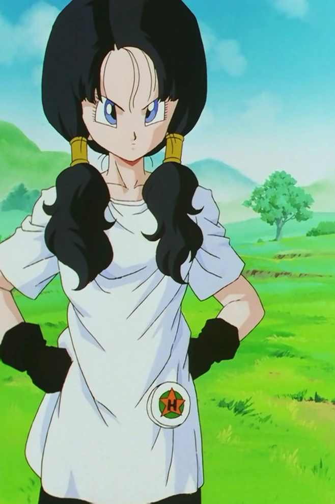 Videl | Wiki Dragon Ball Novo | Fandom