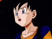 Videl | Dragon Ball SF Universe Wiki | Fandom