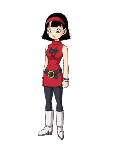 Videl | Dragon Ball Super Wikia | Fandom