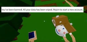 Bans | Dragon Ball Z: Final Stand Wiki | Fandom