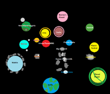 Dragon Ball Z: Final Stand Wiki | Fandom