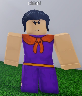 Chi Chi | Dragon Ball Z: Final Stand Wiki | Fandom