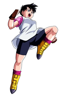 Videl | Dragon Ball Z Wikia | Fandom