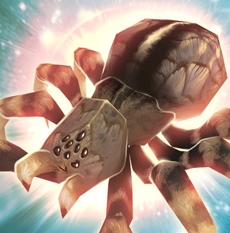 Spider | Dragon Ninjas Wikia | Fandom