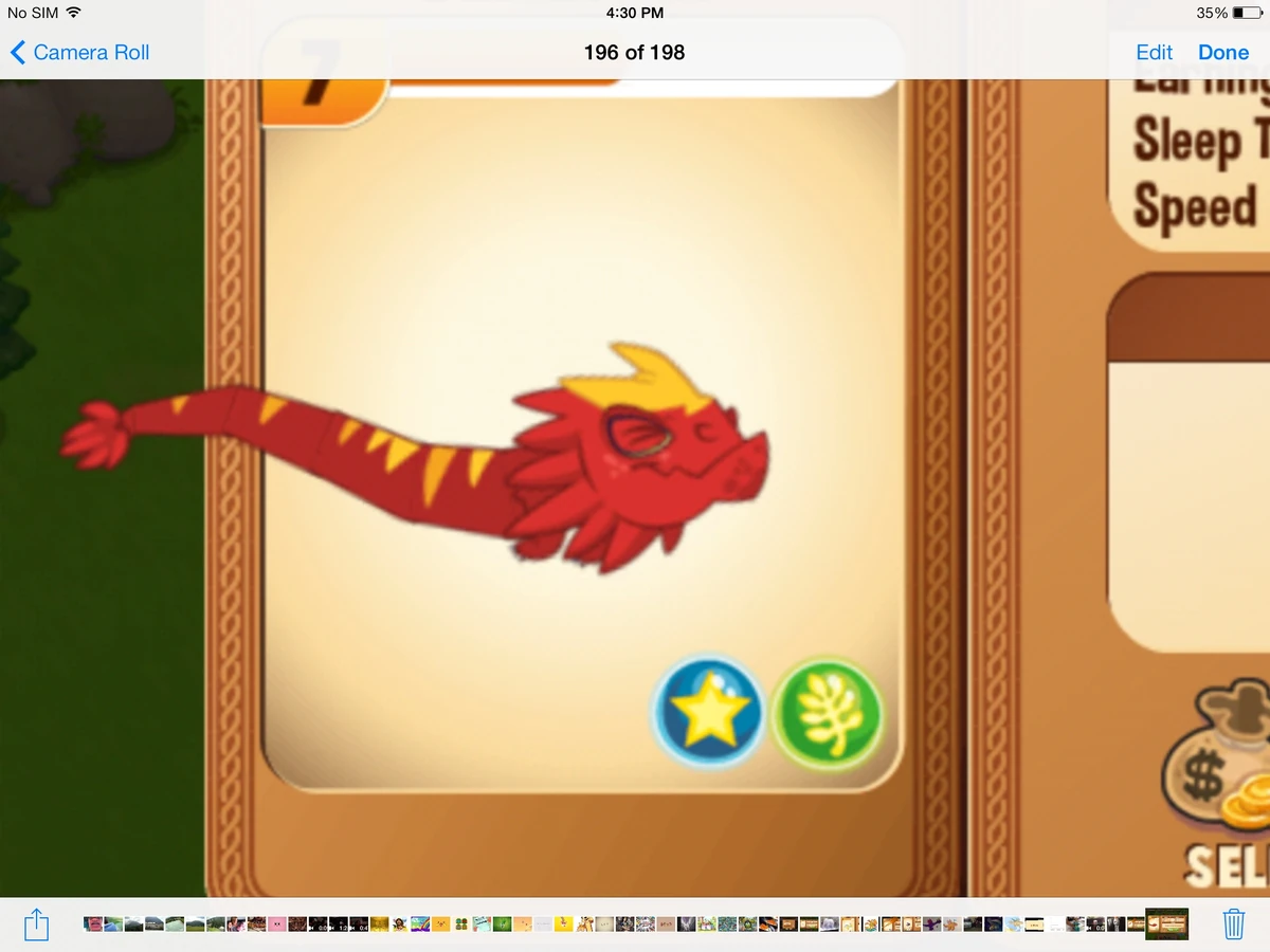 Firebird Dragon | Dragon Skies Wiki | Fandom