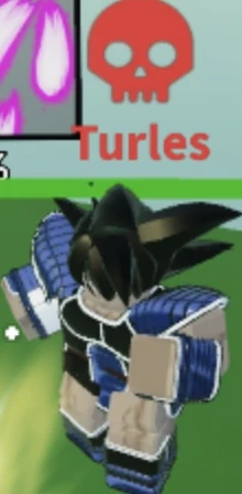 Turtles | Dragon Soul Wiki | Fandom