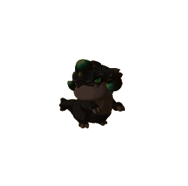 Pachy | Dragon Village Series Wiki | Fandom