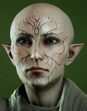 Falon'Din | Dragon Age Wiki | Fandom